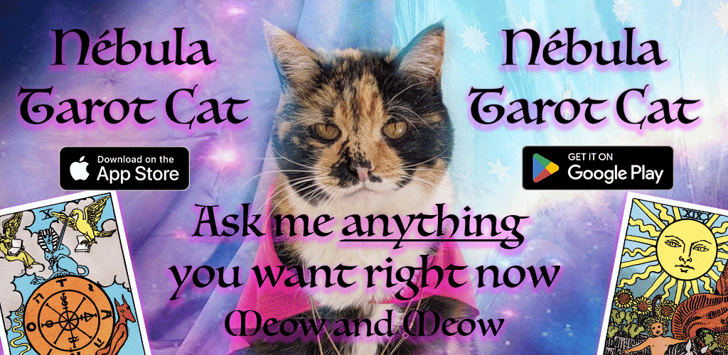 Nébula Tarot Cat